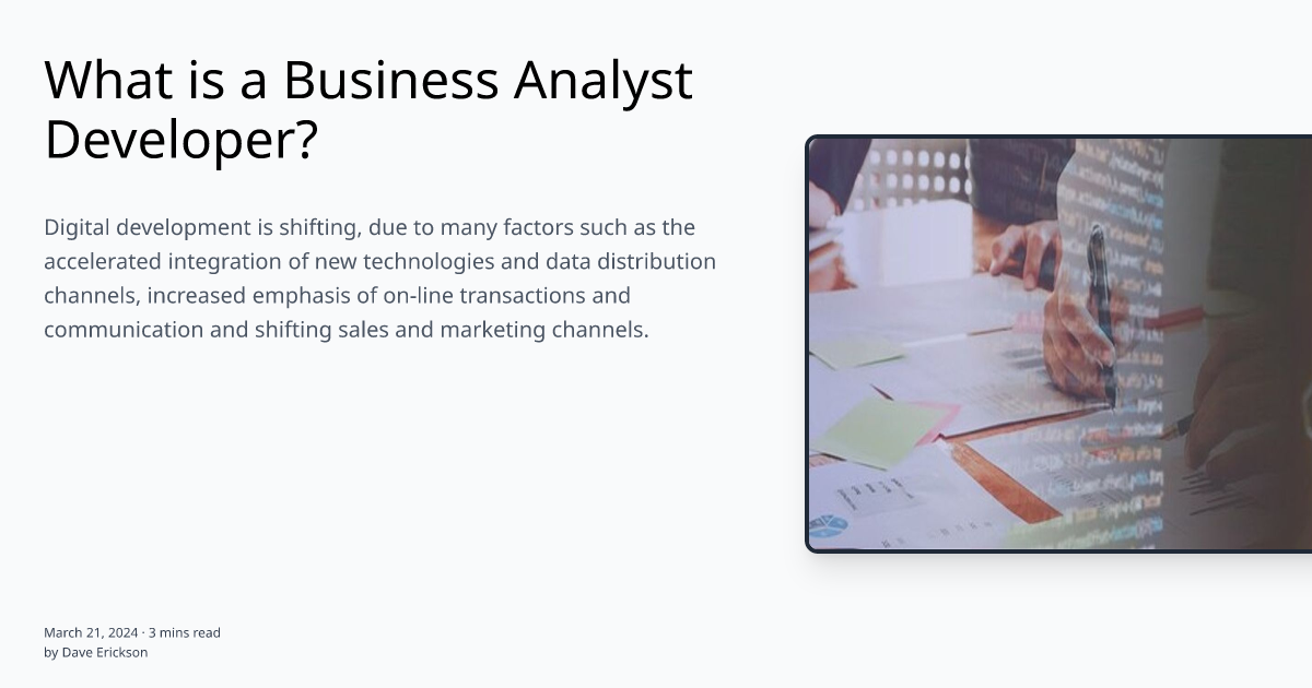 What is a Business Analyst Developer? | ScreamingBox